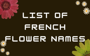 French Flower Names - Flowers Name Info