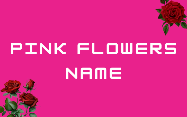 40 Pink Flowers Name - Flowers Name Info