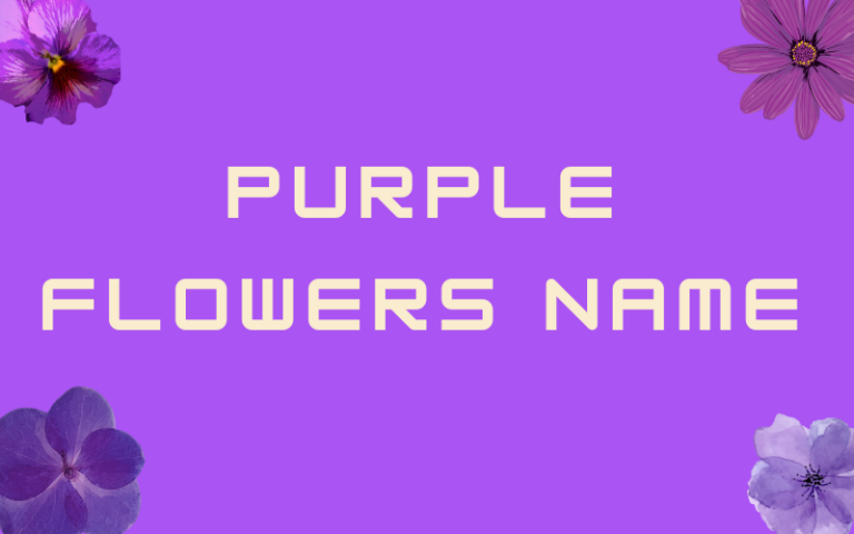 40 Purple Flowers Name - Flowers Name Info