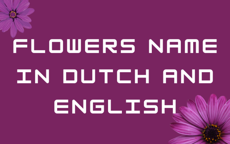 30 Flowers Name In Dutch and English - Flowers Name Info