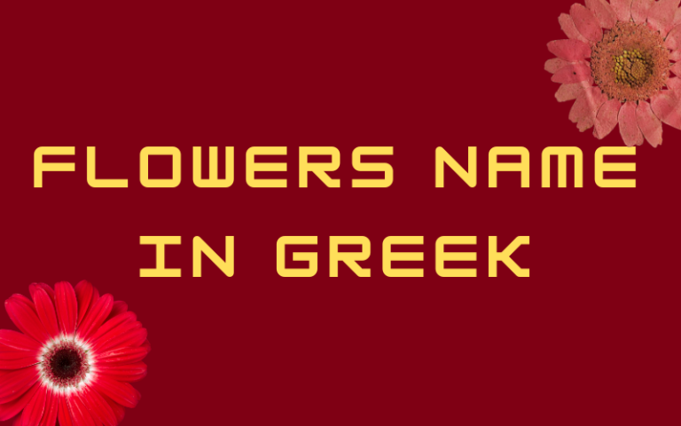 30 Flowers Name in Greek - Flowers Name Info