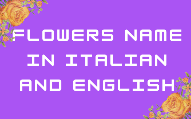 30 Flowers Name In Italian and English - Flowers Name Info