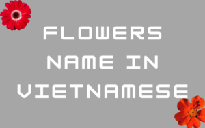 30 Flowers Name in Vietnamese