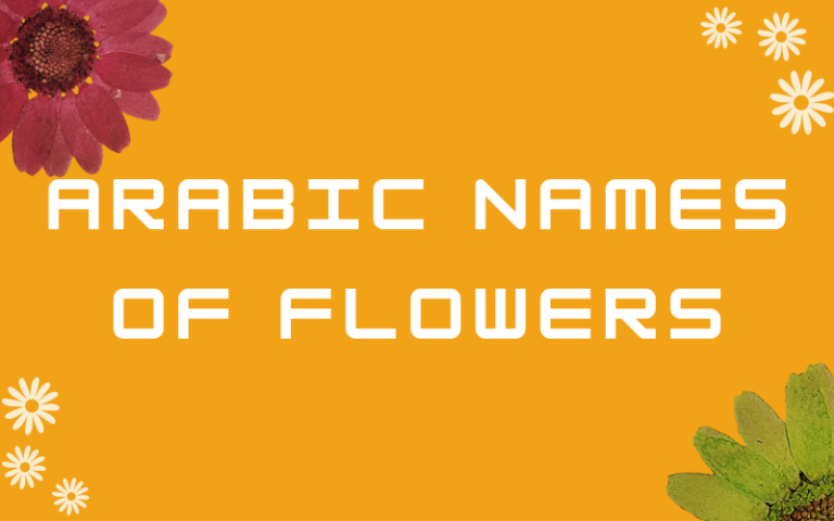 Arabic Names of Flowers - Flowers Name Info